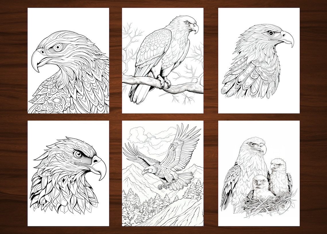 20 Printable Bald Eagle Patterns/coloring Book Pages, Leather Carving ...