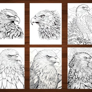 20 Printable Bald Eagle Patterns/coloring Book Pages, Leather Carving ...