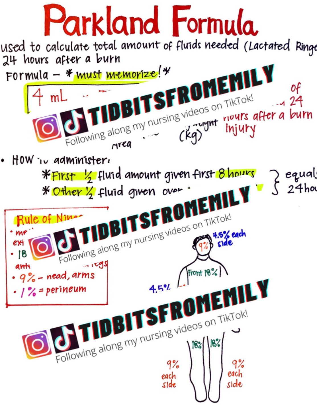 BURNS - Parkland Formula and Rule of Nines With Example - Etsy