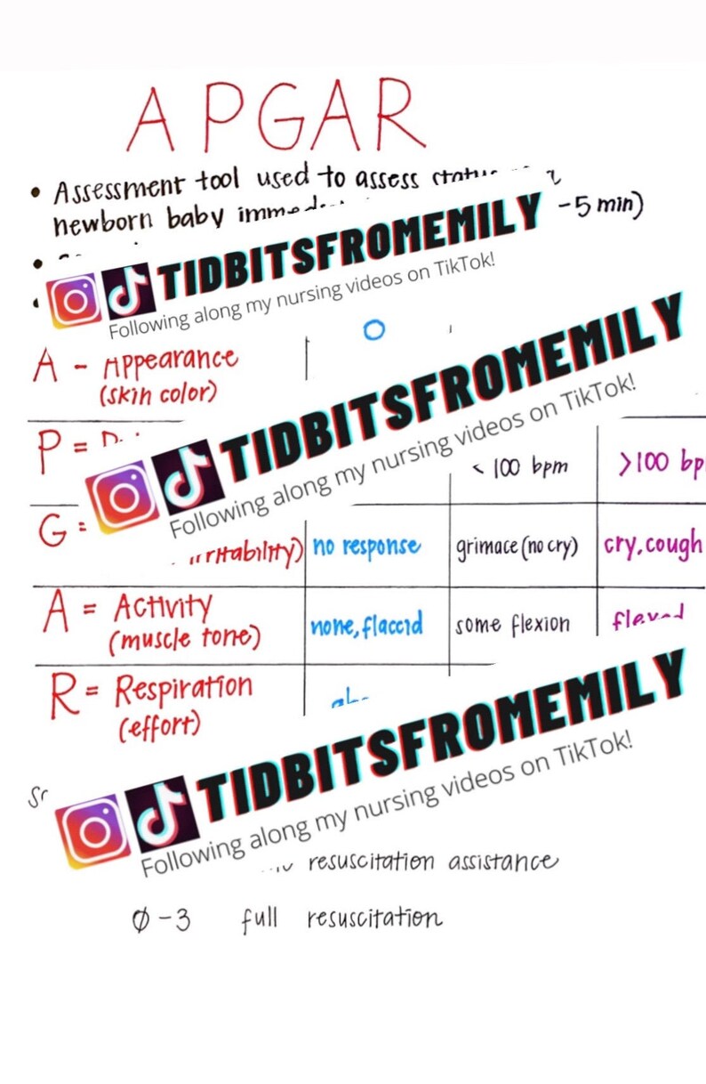 APGAR Nursing Review for NCLEX - Etsy