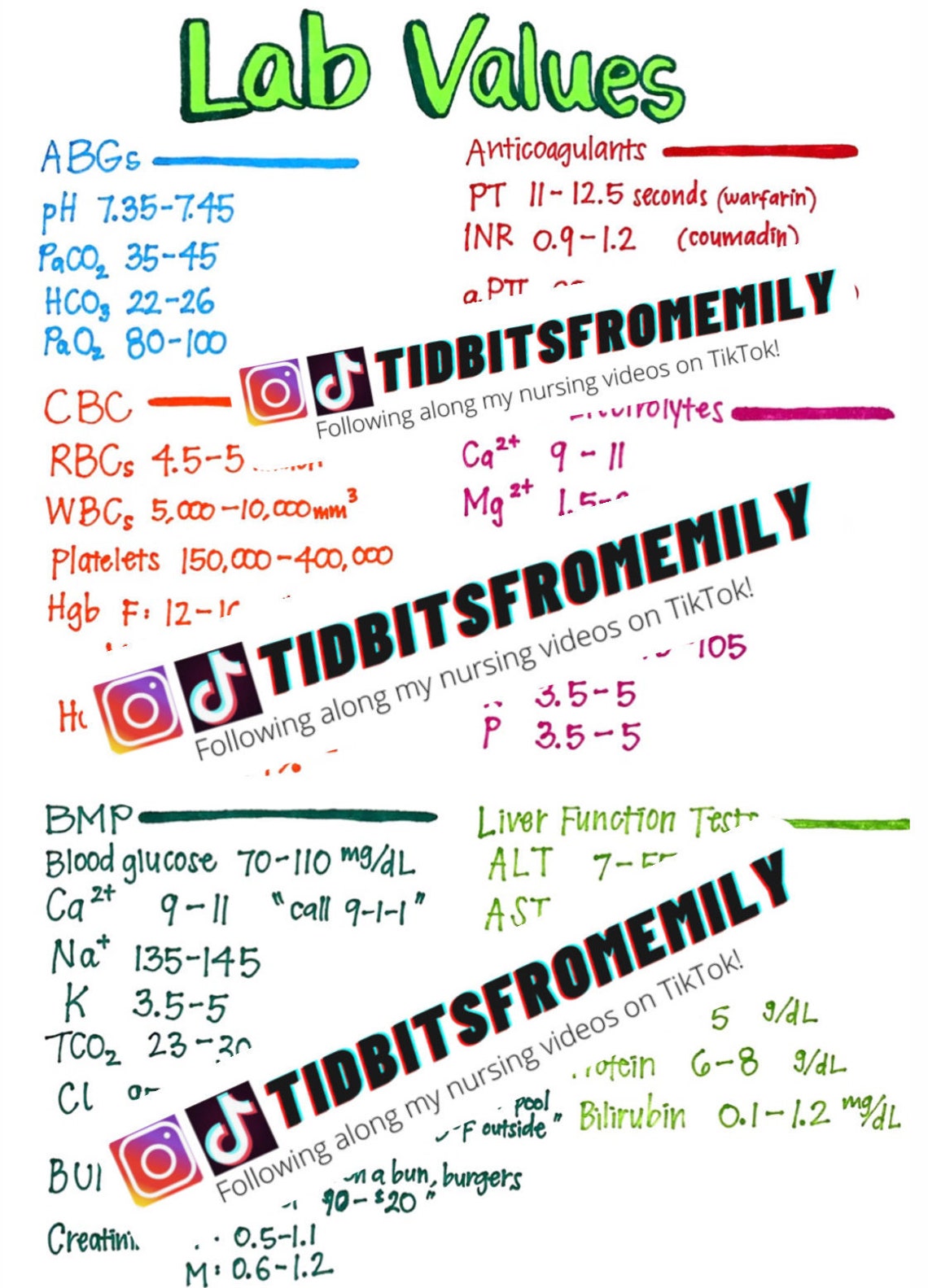 Lab Values, Vital Signs, and Basic Metabolic Panel BMP CHEM 7 - Etsy