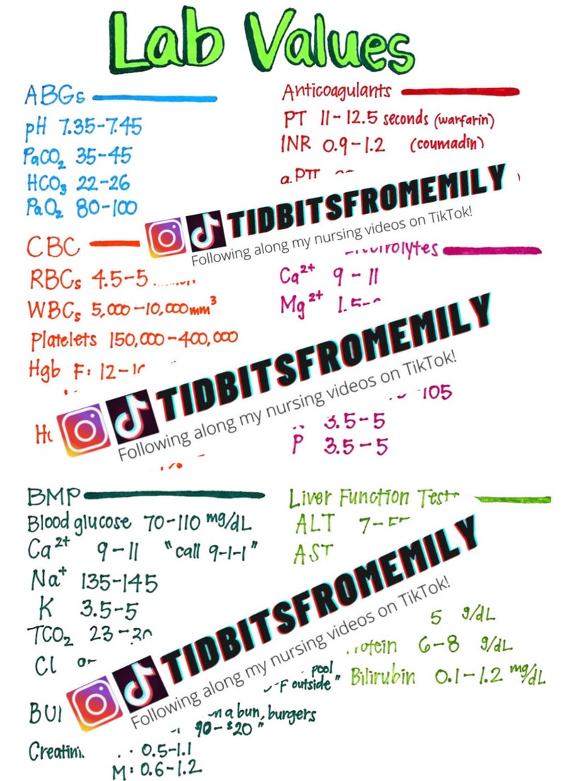 Lab Values, Vital Signs, and Basic Metabolic Panel BMP CHEM 7 - Etsy