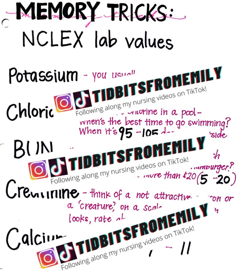 Lab Values, Vital Signs, and Basic Metabolic Panel BMP CHEM 7 - Etsy
