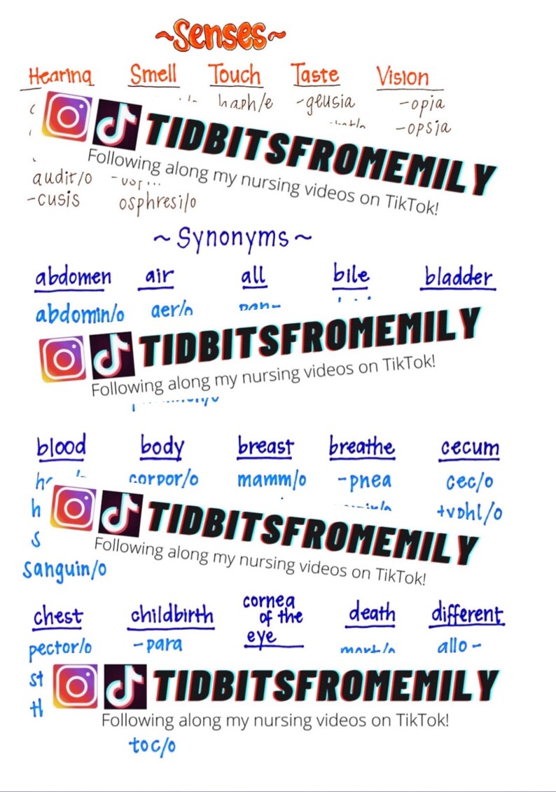 Medical Terminology - Etsy