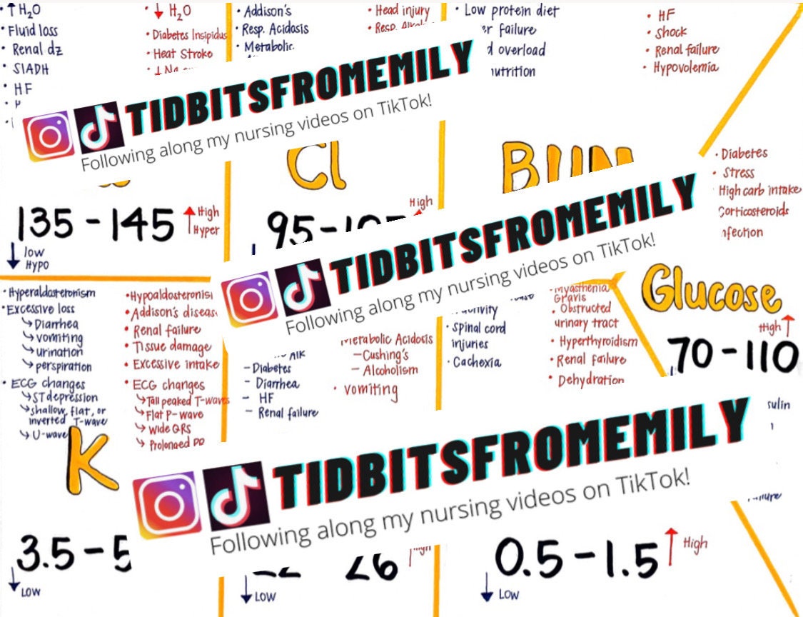 Lab Values, Vital Signs, and Basic Metabolic Panel BMP CHEM 7 - Etsy