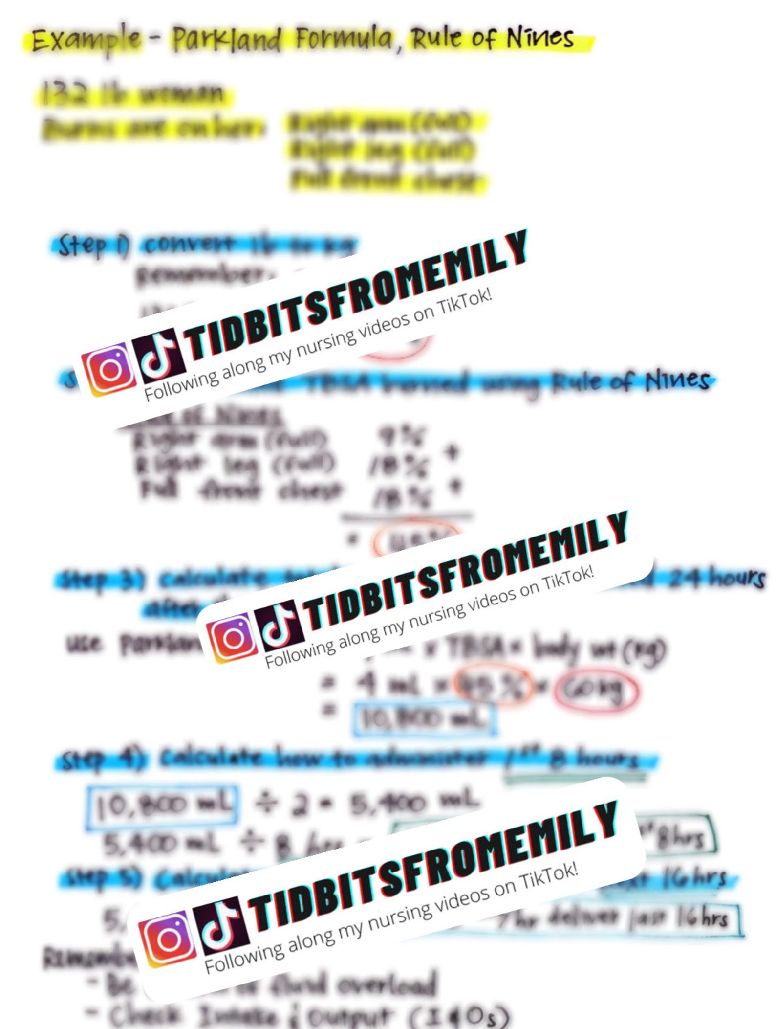 BURNS - Parkland Formula and Rule of Nines With Example - Etsy