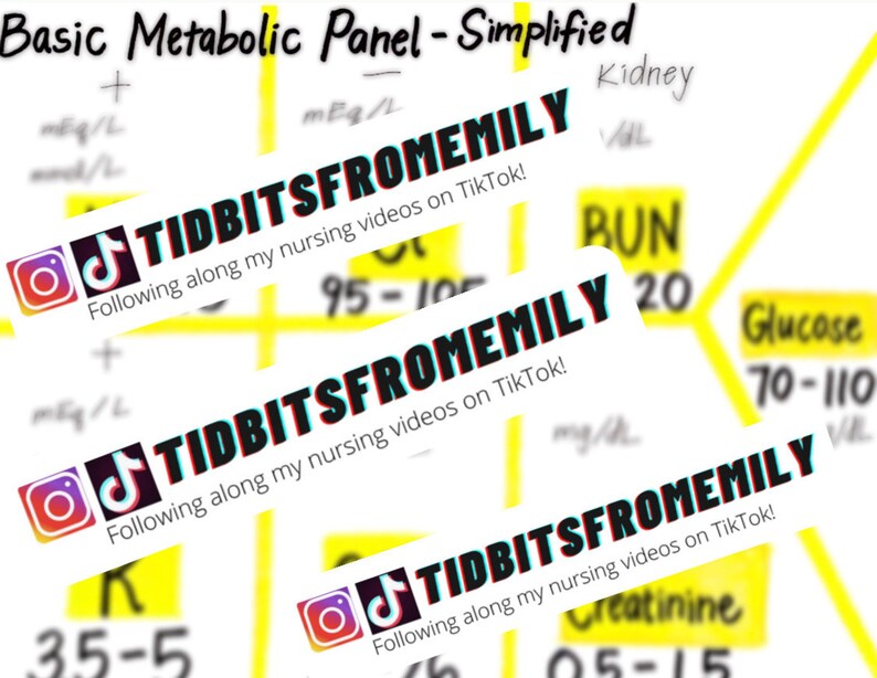 Lab Values, Vital Signs, and Basic Metabolic Panel BMP CHEM 7 - Etsy
