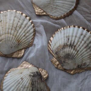 Gold Leaf Seashell Dish, Jewelry Holder, Ocean Accent Tray, Beachy Home ...