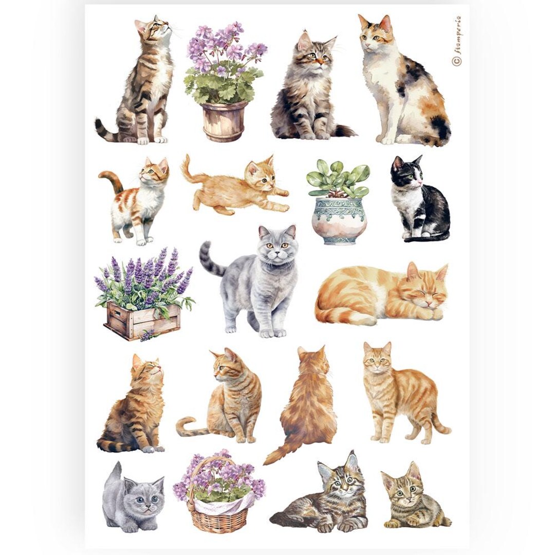 Animals A4 Rice Paper - Stamperia Rice Paper - Decoupage Rice Paper ...