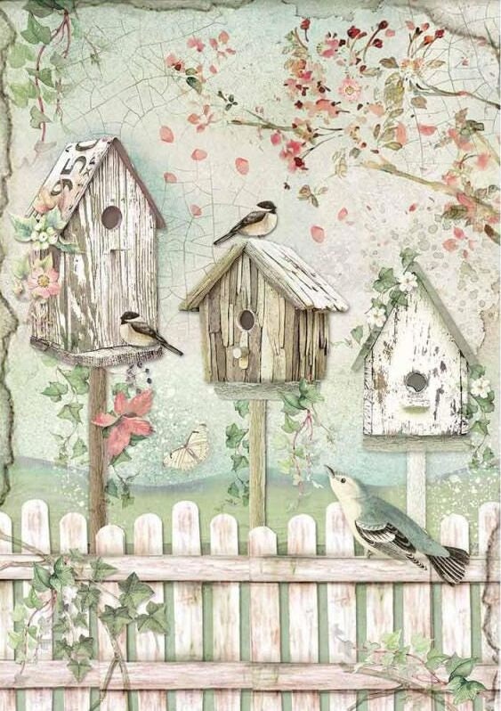 Decoupage Rice Paper - Birds & Butterflies - Stamperia - A4 (297mm ...