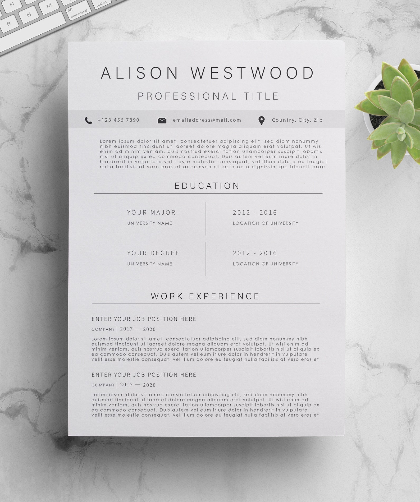 Minimalist Resume Template for MS Word Professional | Etsy
