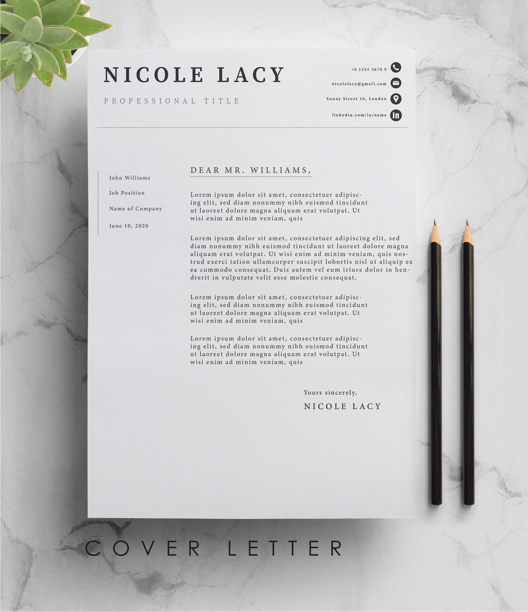 Minimalistic Resume Template for MS Word Professional | Etsy