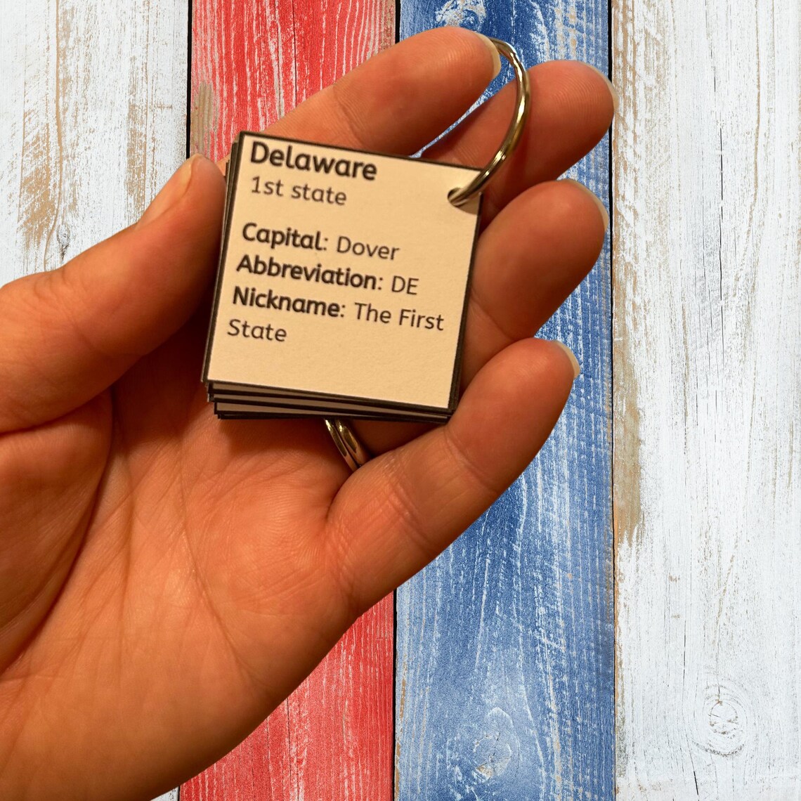 50 States Fast Facts | United States Flash Cards | Homeschool Resource ...