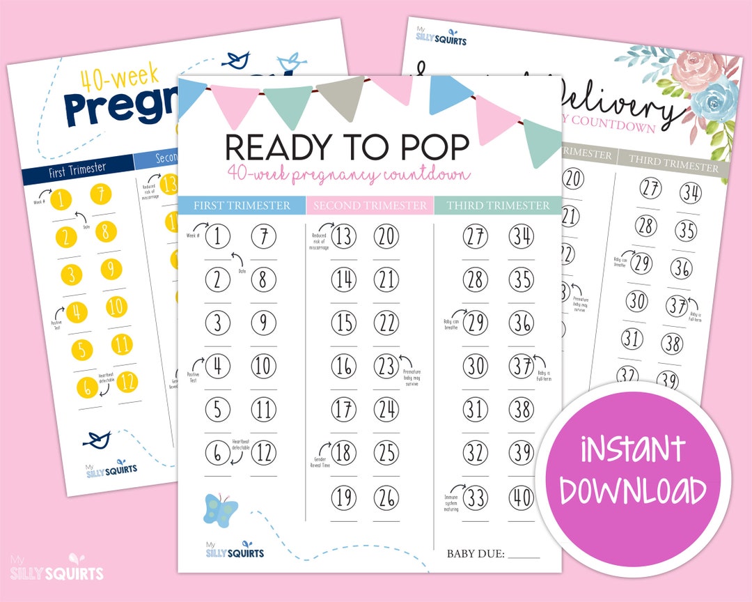 Pregnancy Countdown Poster, New Mom Countdown, Instant Download ...