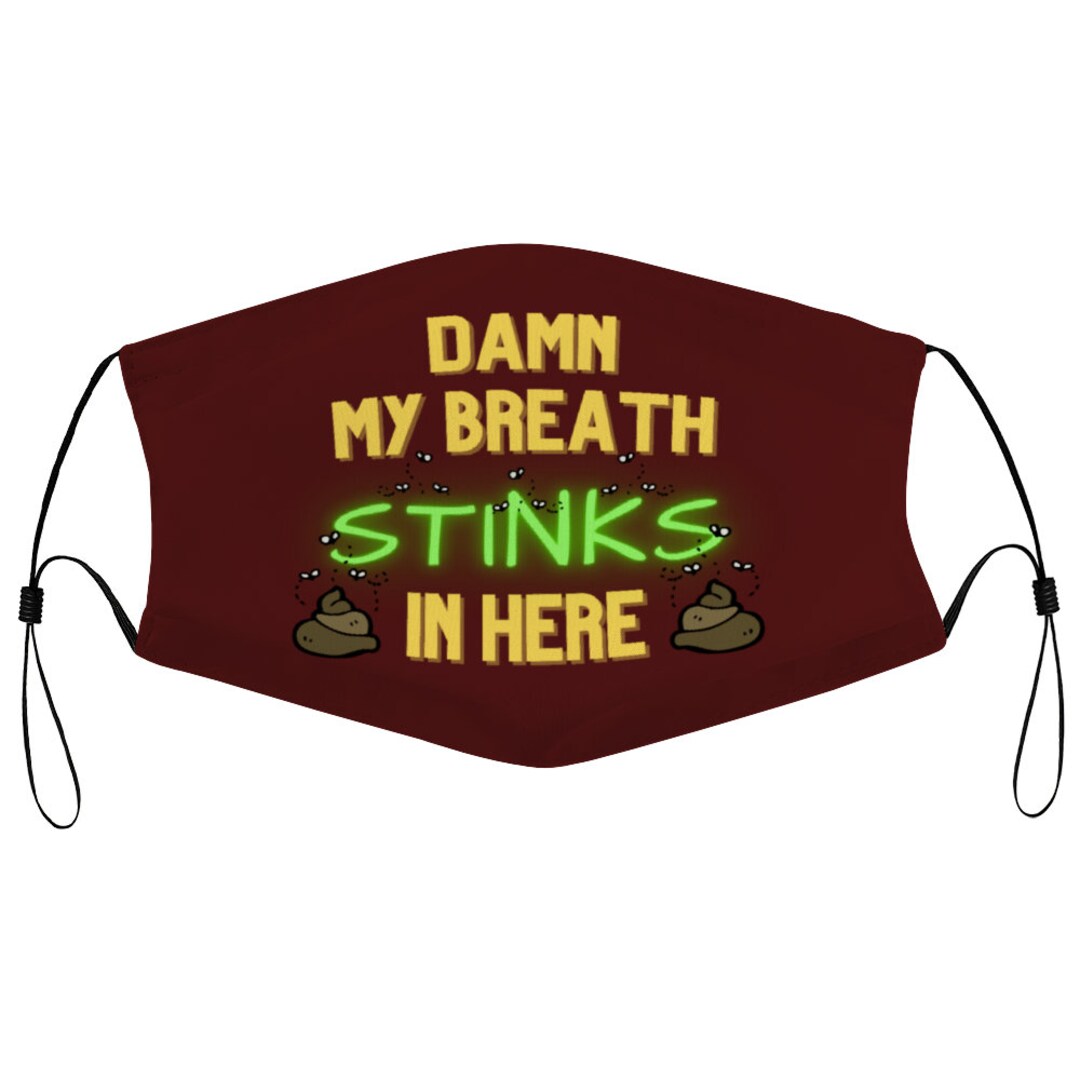 Damn My Breath Stinks Here Funny Cloth Face Mask W/ 2 Replaceable ...