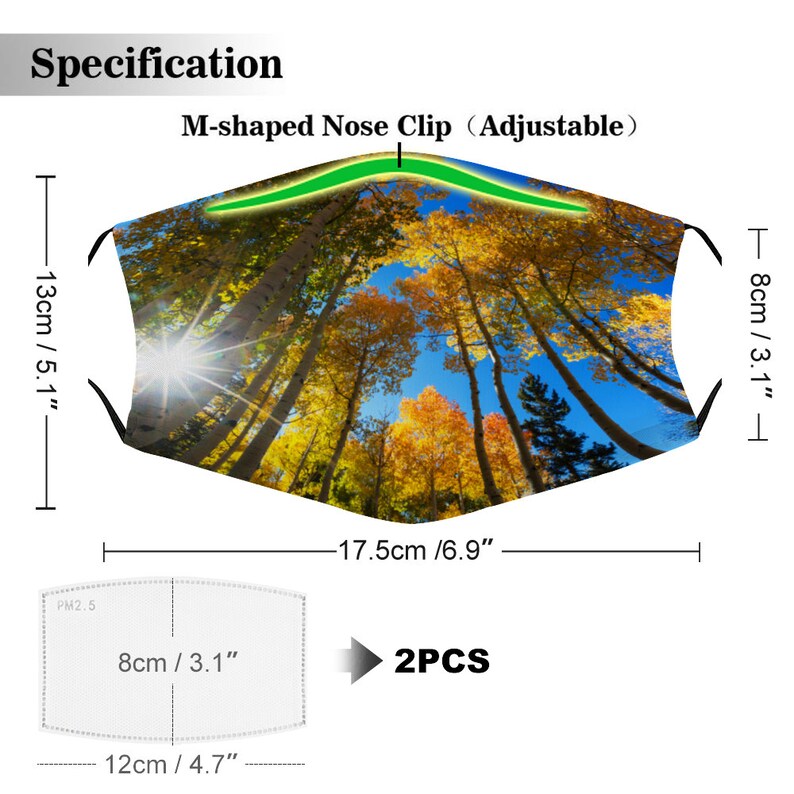 Autumn Leaves Trees Fall Scene Thanksgiving Nature Cloth Face Mask W/ 2 ...