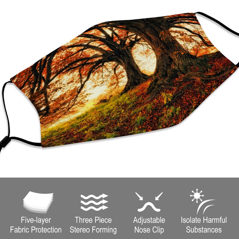 Autumn Leaves Trees Fall Scene Thanksgiving Nature Cloth Face Mask W/ 2 ...