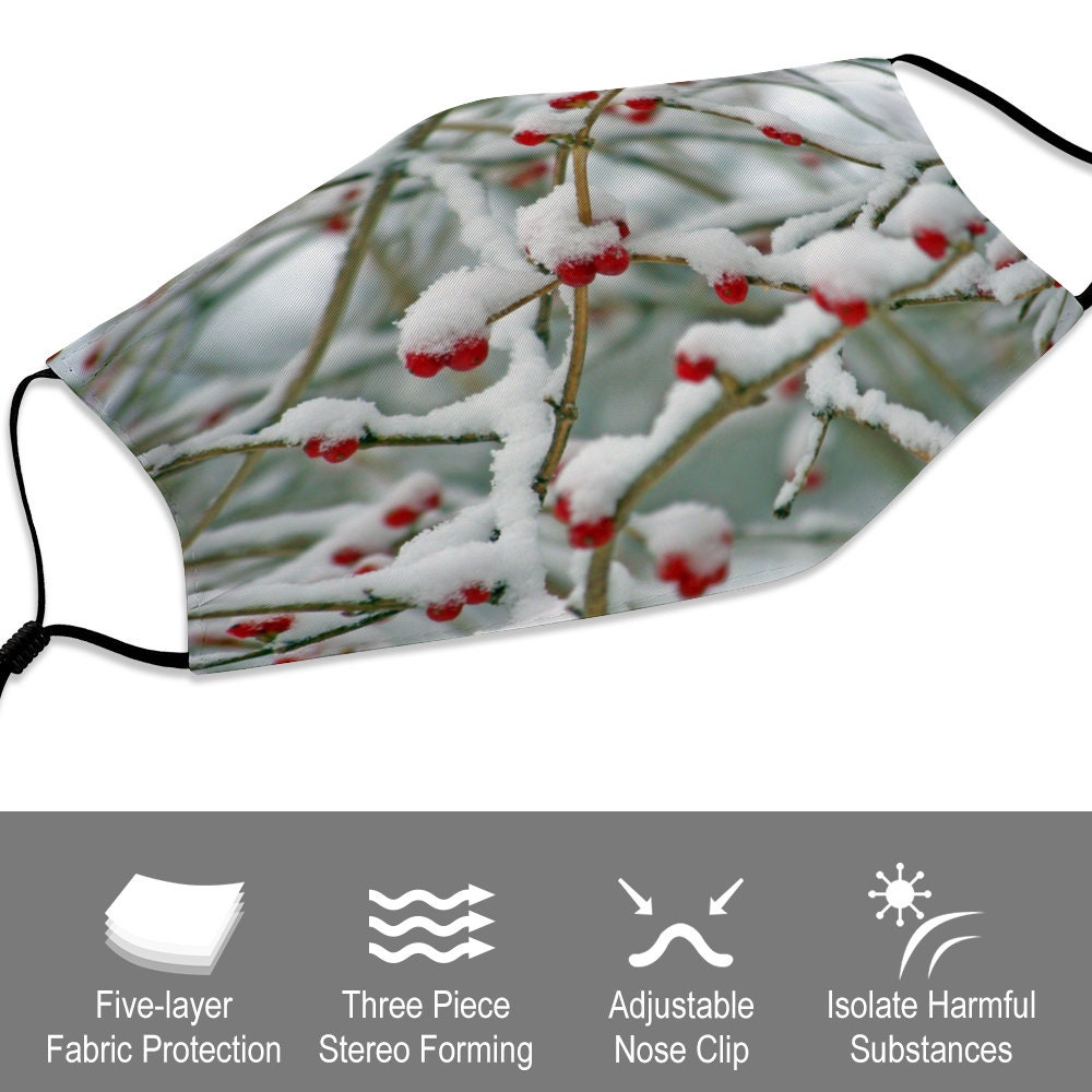 Red Winter Berries Snow Scene Holiday Festive Cloth Face Mask With 2 ...