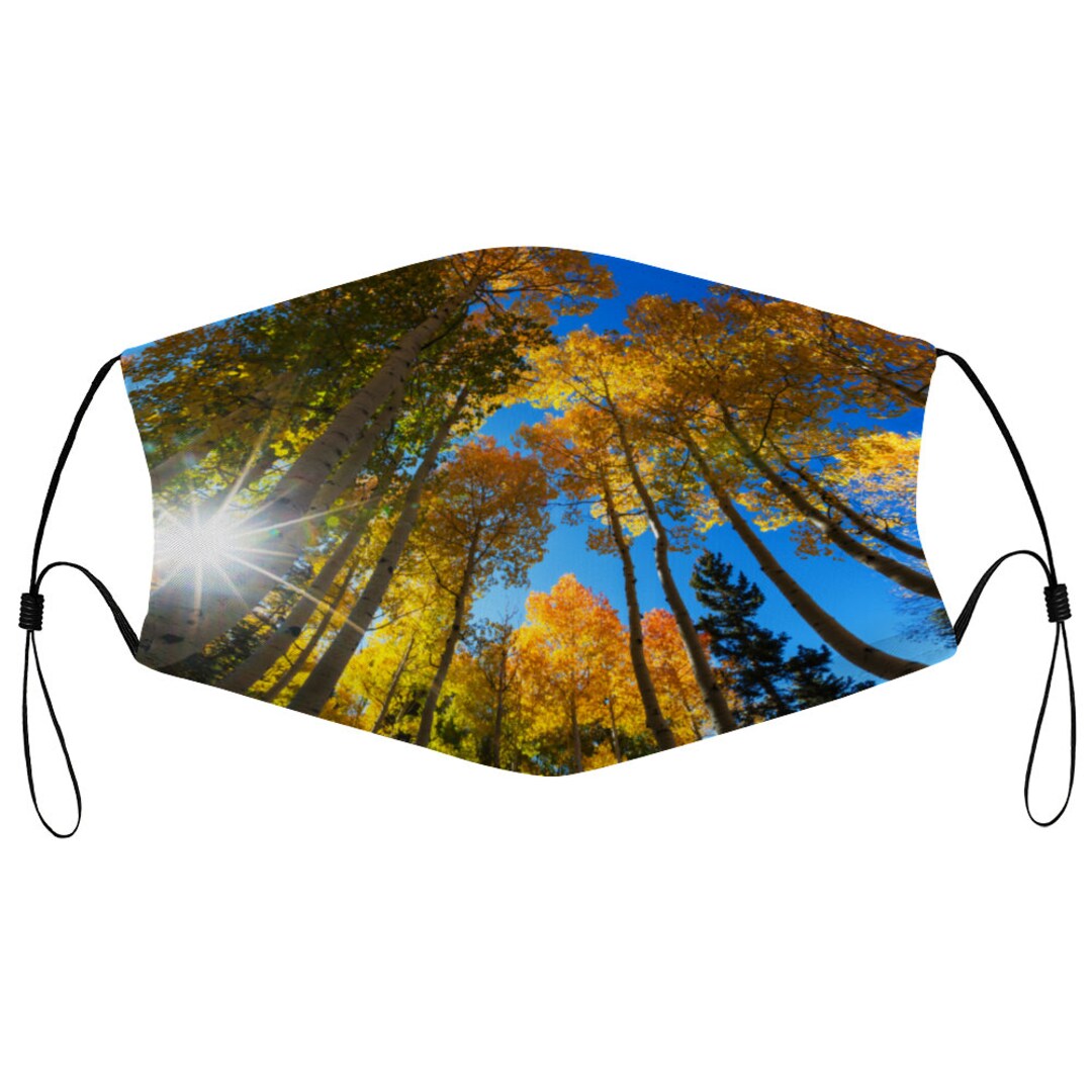 Autumn Leaves Trees Fall Scene Thanksgiving Nature Cloth Face Mask W/ 2 ...