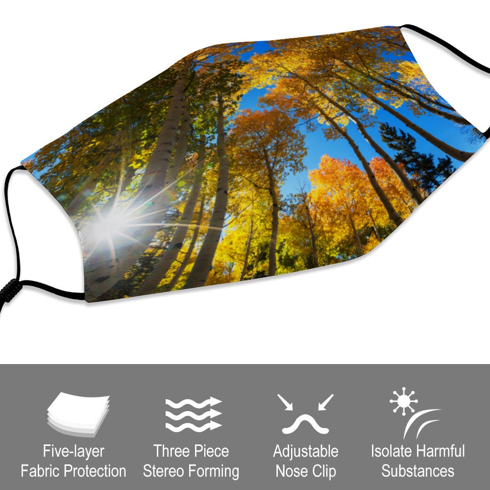 Autumn Leaves Trees Fall Scene Thanksgiving Nature Cloth Face Mask W/ 2 ...