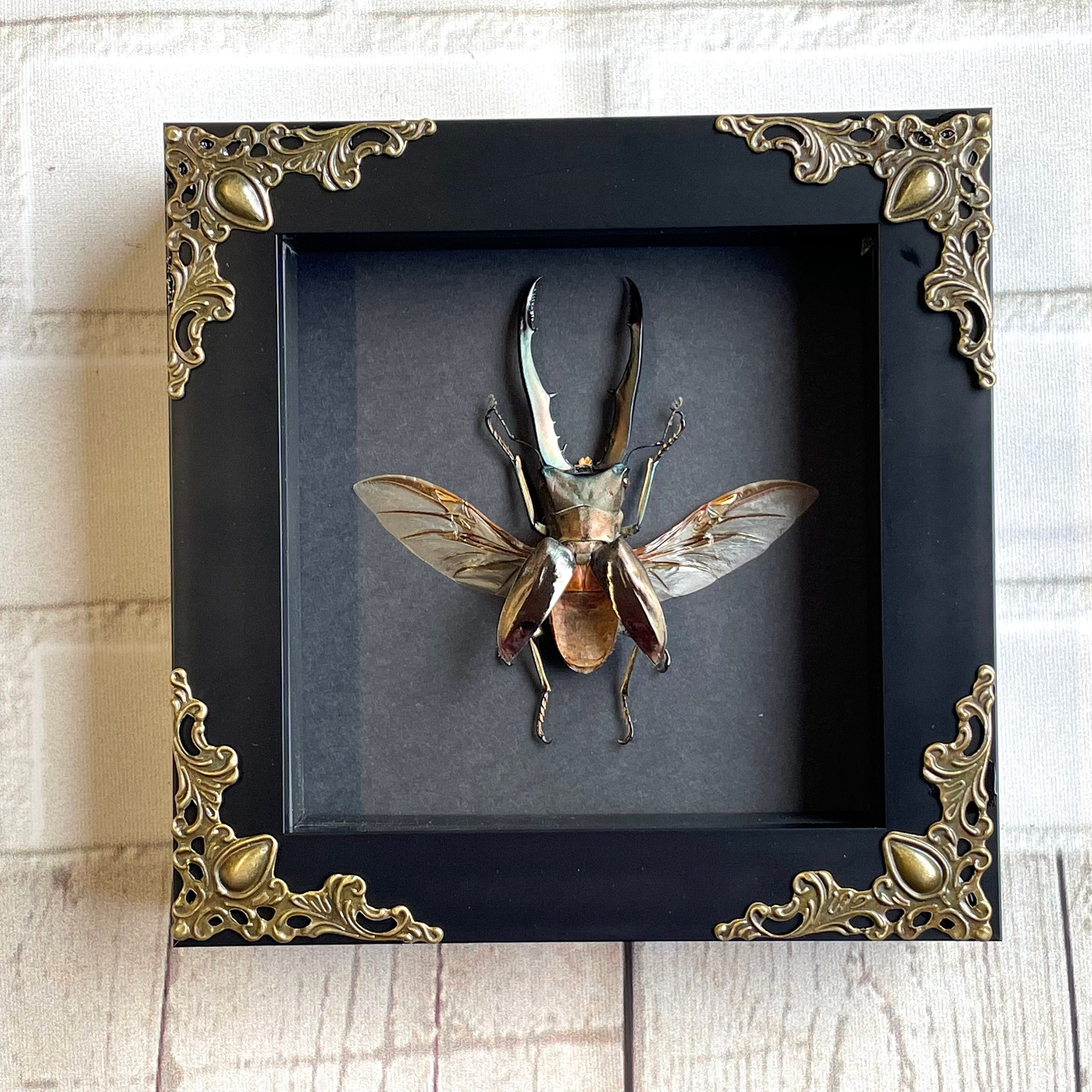 Black Deep Shadow Box Display Frame | Ornate Baroque Style Corners | 12 ...