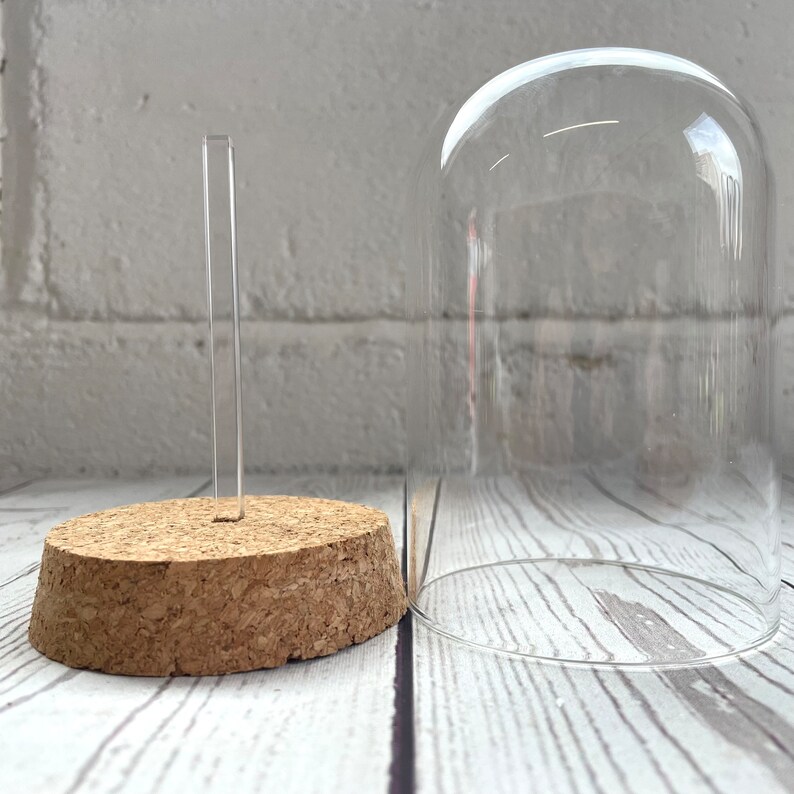 1 X Glass Dome Cloche Display Bell Jar Cork Base With Perspex - Etsy