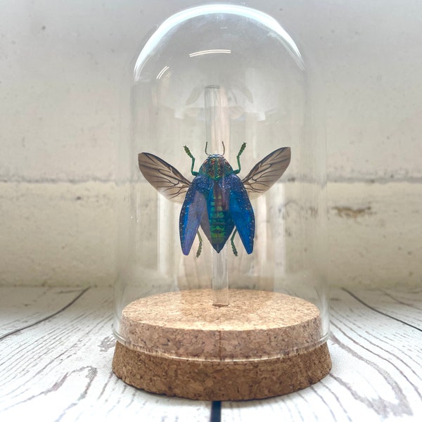 Glass Insect - Etsy