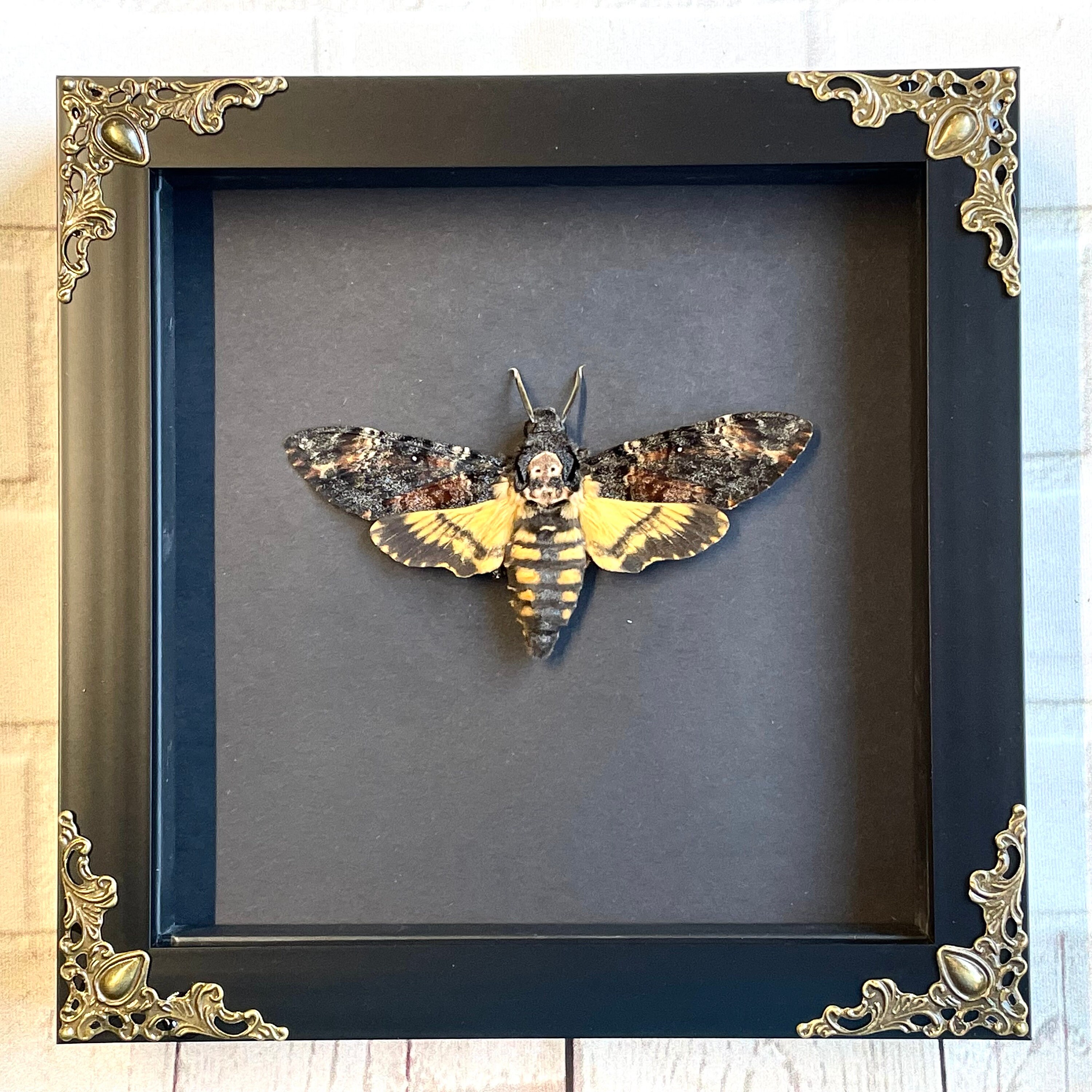 Black Deep Shadow Box Display Frame | Ornate Baroque Style Corners | 17 ...