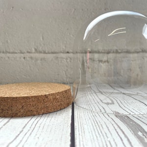 1 X Glass Dome Cloche Display Bell Jar Cork Base With Perspex Mount ...