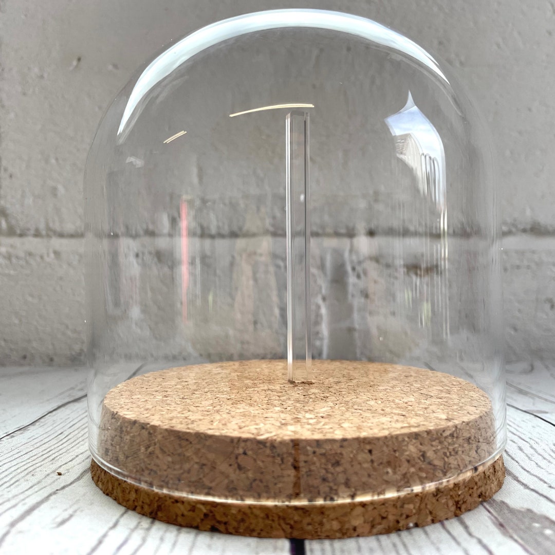 1 X Glass Dome Cloche Display Bell Jar Cork Base With Perspex Mount ...