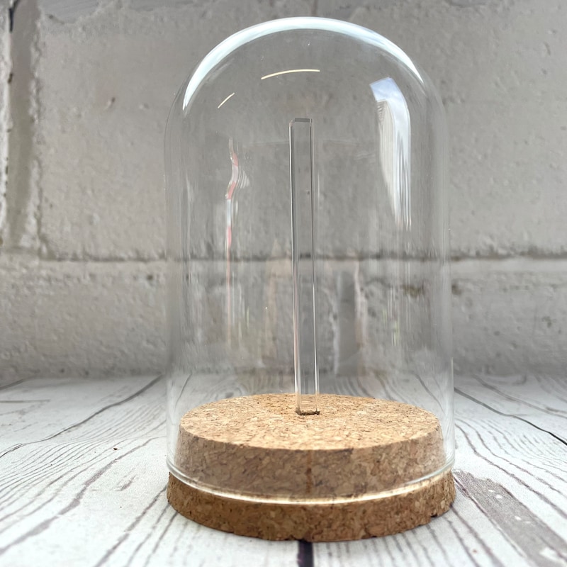 Glass Dome Display - Etsy