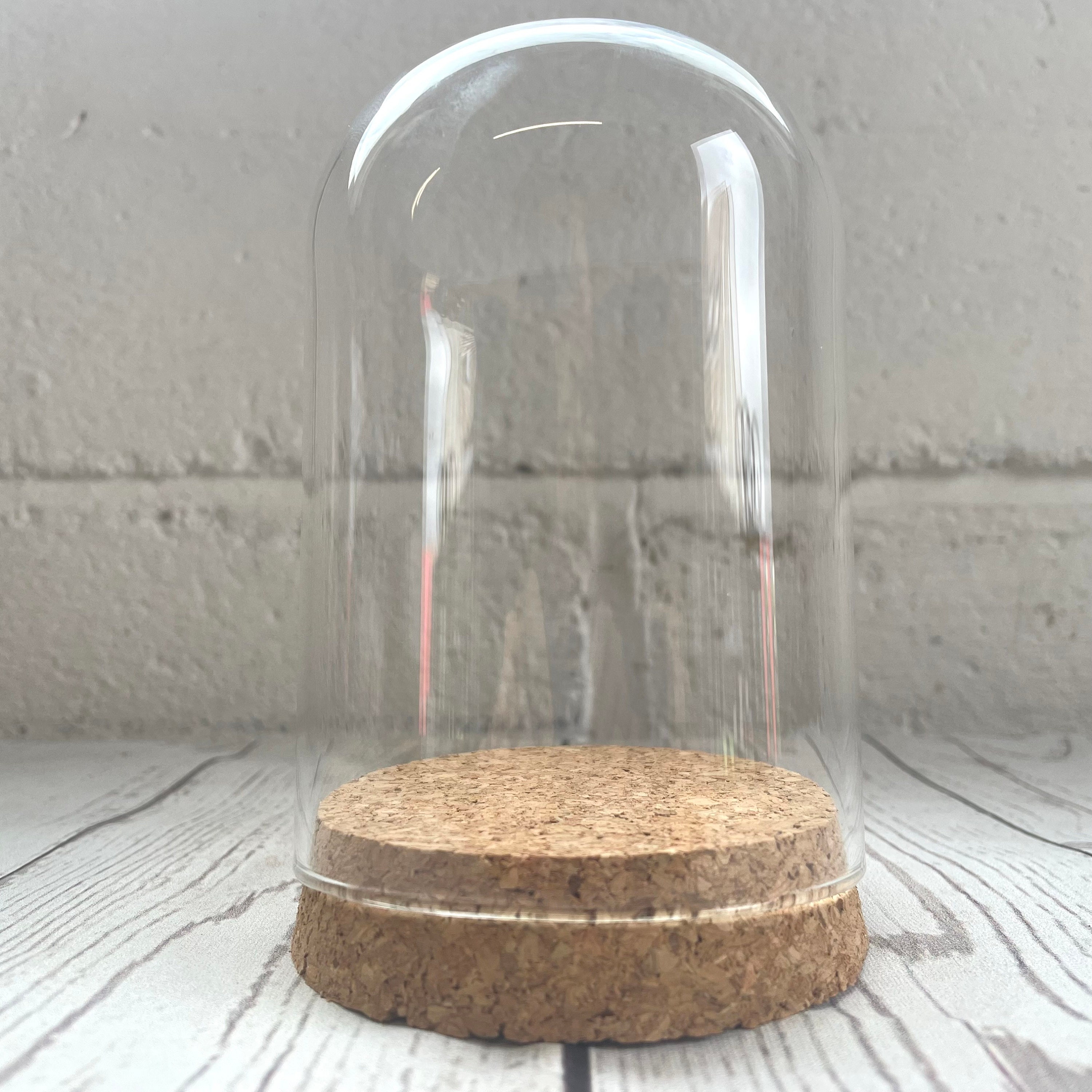 1 X Glass Dome Cloche Display Bell Jar Cork Base With Perspex - Etsy