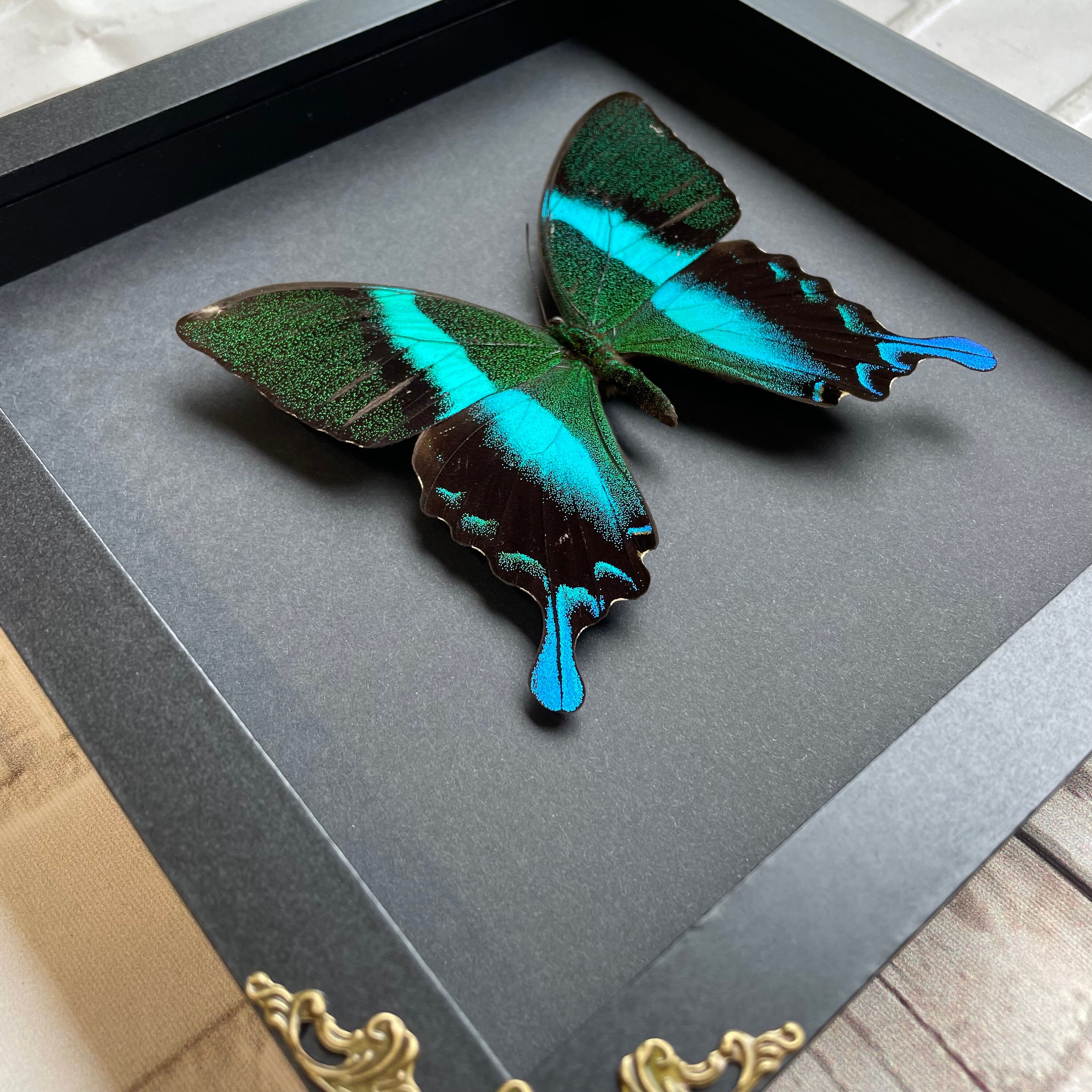 Black Deep Shadow Box Display Frame | Ornate Baroque Style Corners | 17 ...