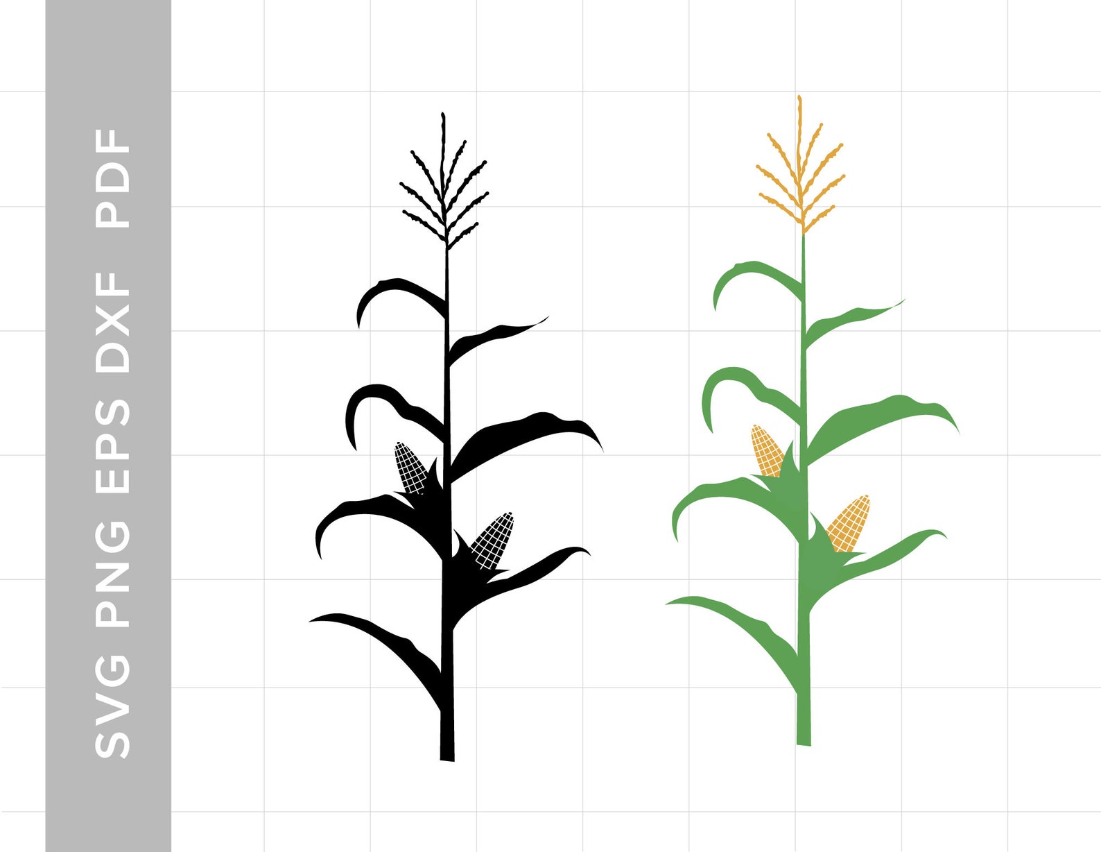 Corn Stalk Svg Digital Download for Cricut and Silhouette Includes Svg ...