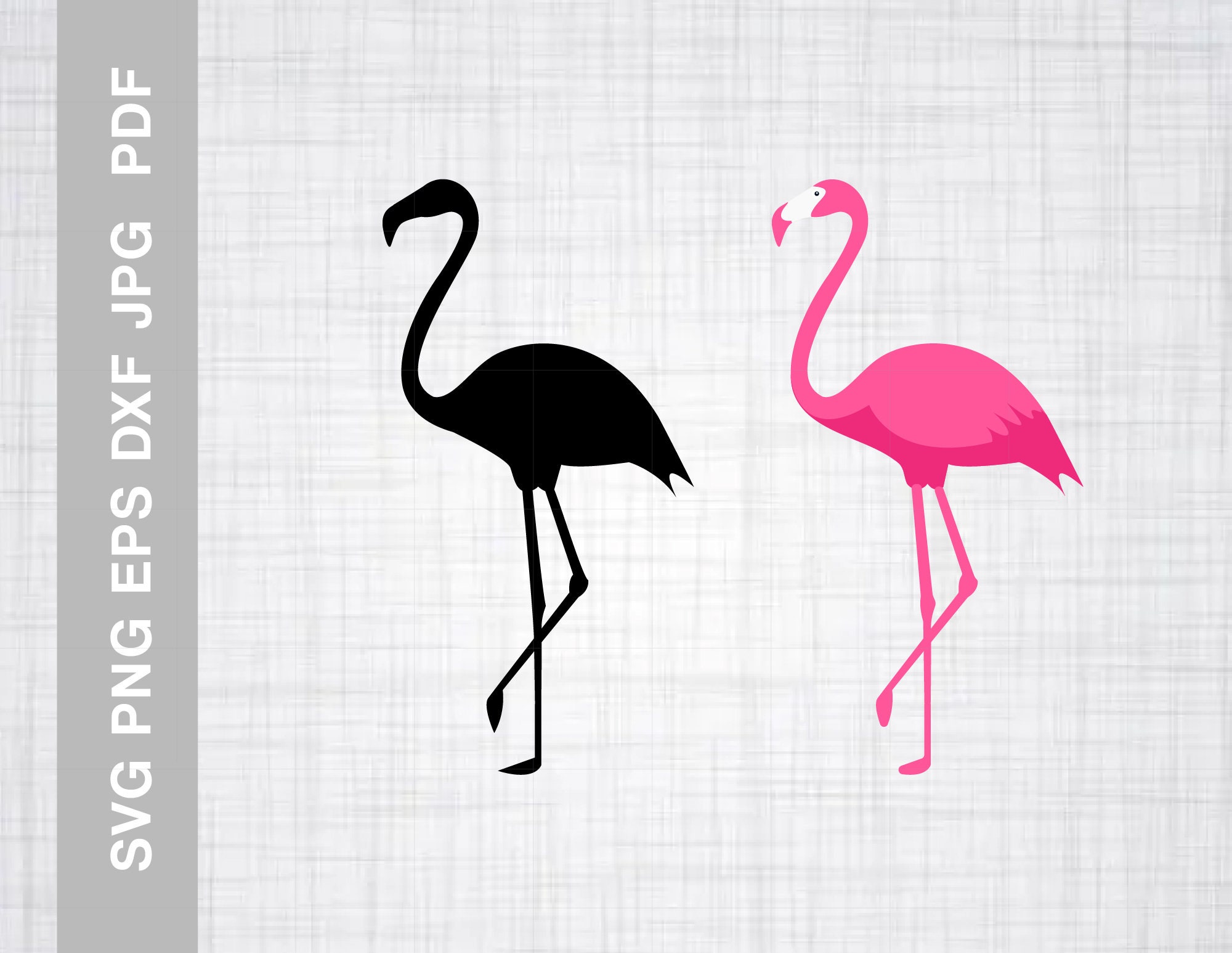 Flamingo svg file - veryflyer