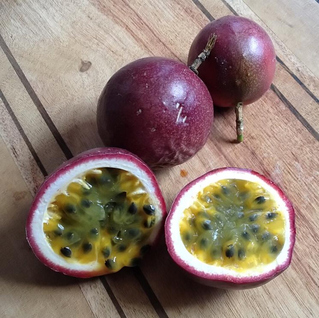 Red Rover Passion Fruit Vine – Live Plant Edible COLD HARDY Passion ...