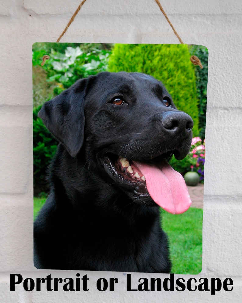 Custom Metal Wall Sign Indoor / Outdoor, Add Photo Text Signage Picture ...