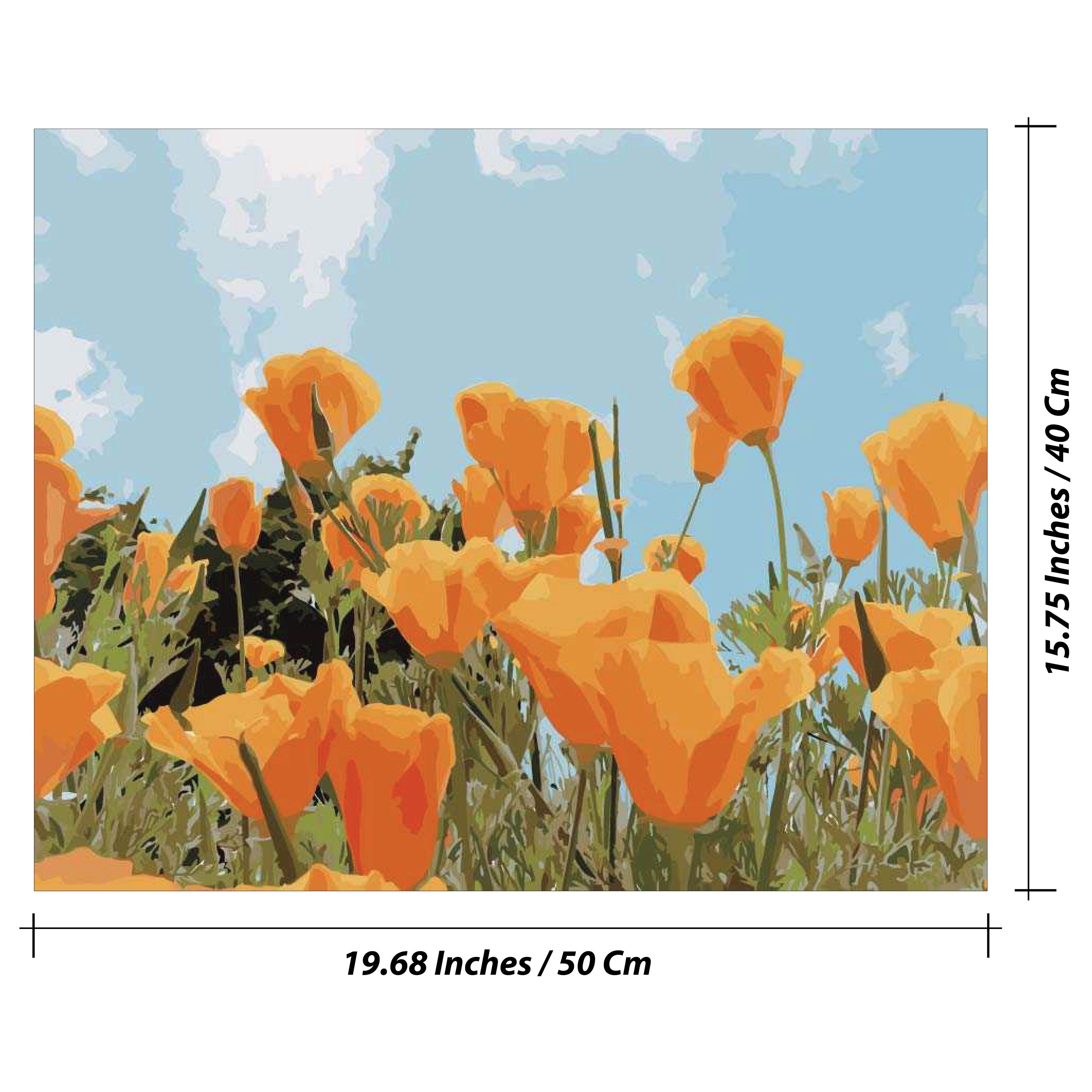 DIY Paint by Numbers Kit for Adults Kids on Canvas Acrylic Drawing ...