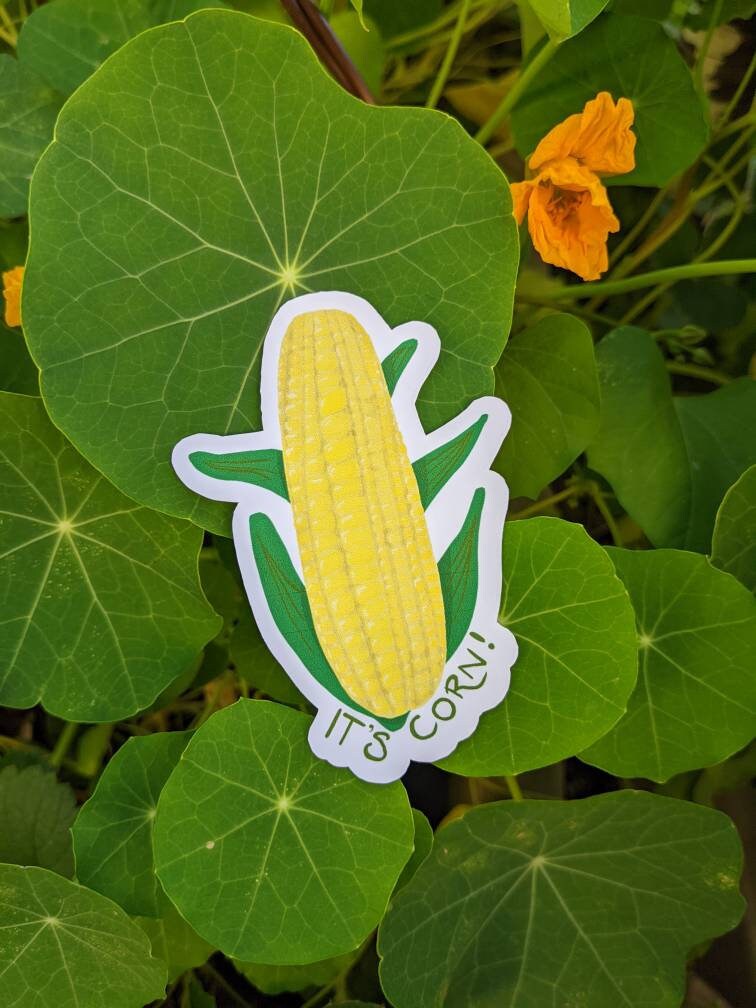 It's Corn! Sticker, Tiktok Sticker, Viral Meme Sticker, Corn Sticker ...