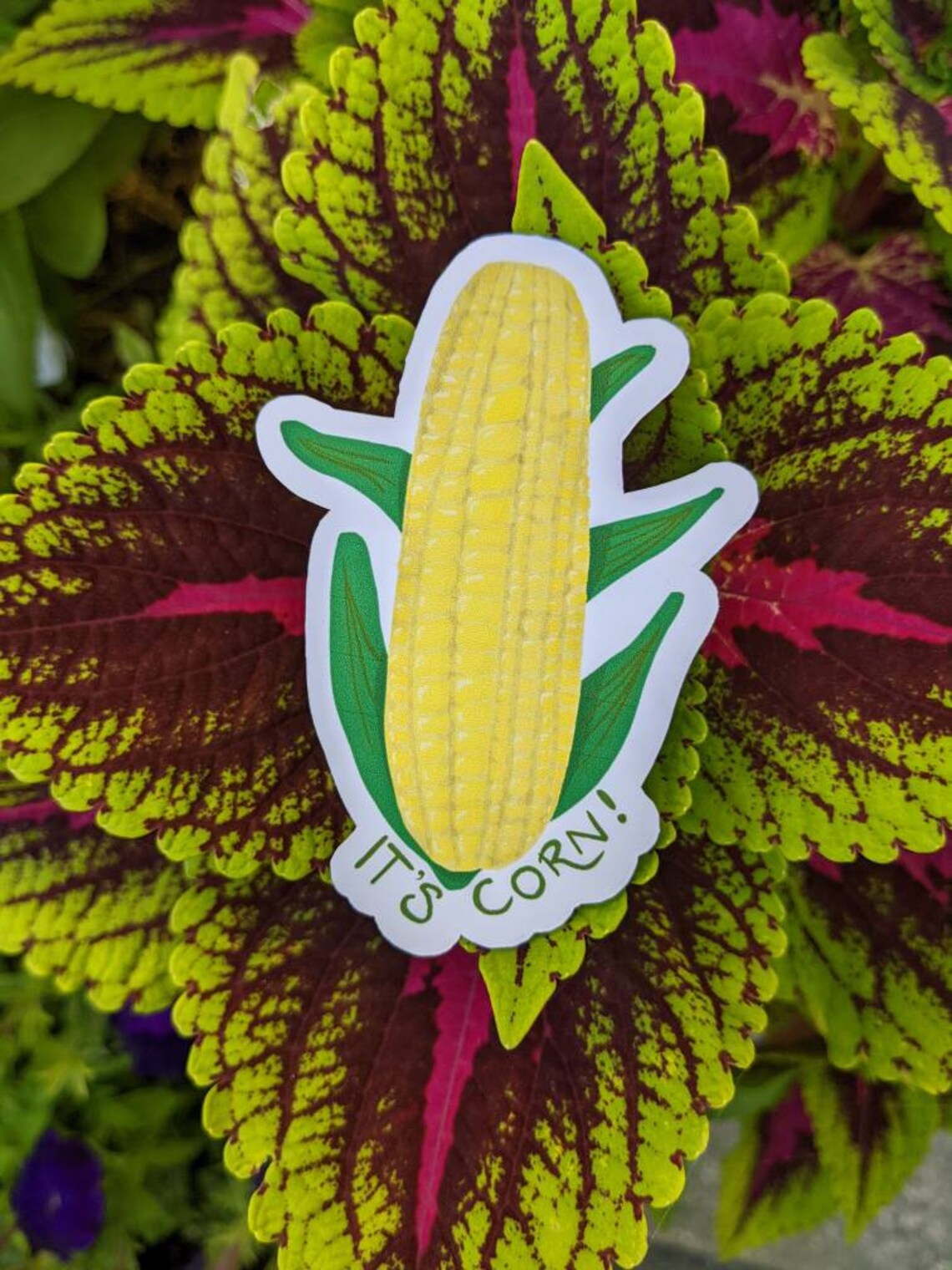 It's Corn Sticker Tiktok Sticker Viral Meme Sticker - Etsy