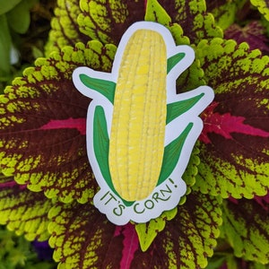 It's Corn! Sticker, Tiktok Sticker, Viral Meme Sticker, Corn Sticker ...
