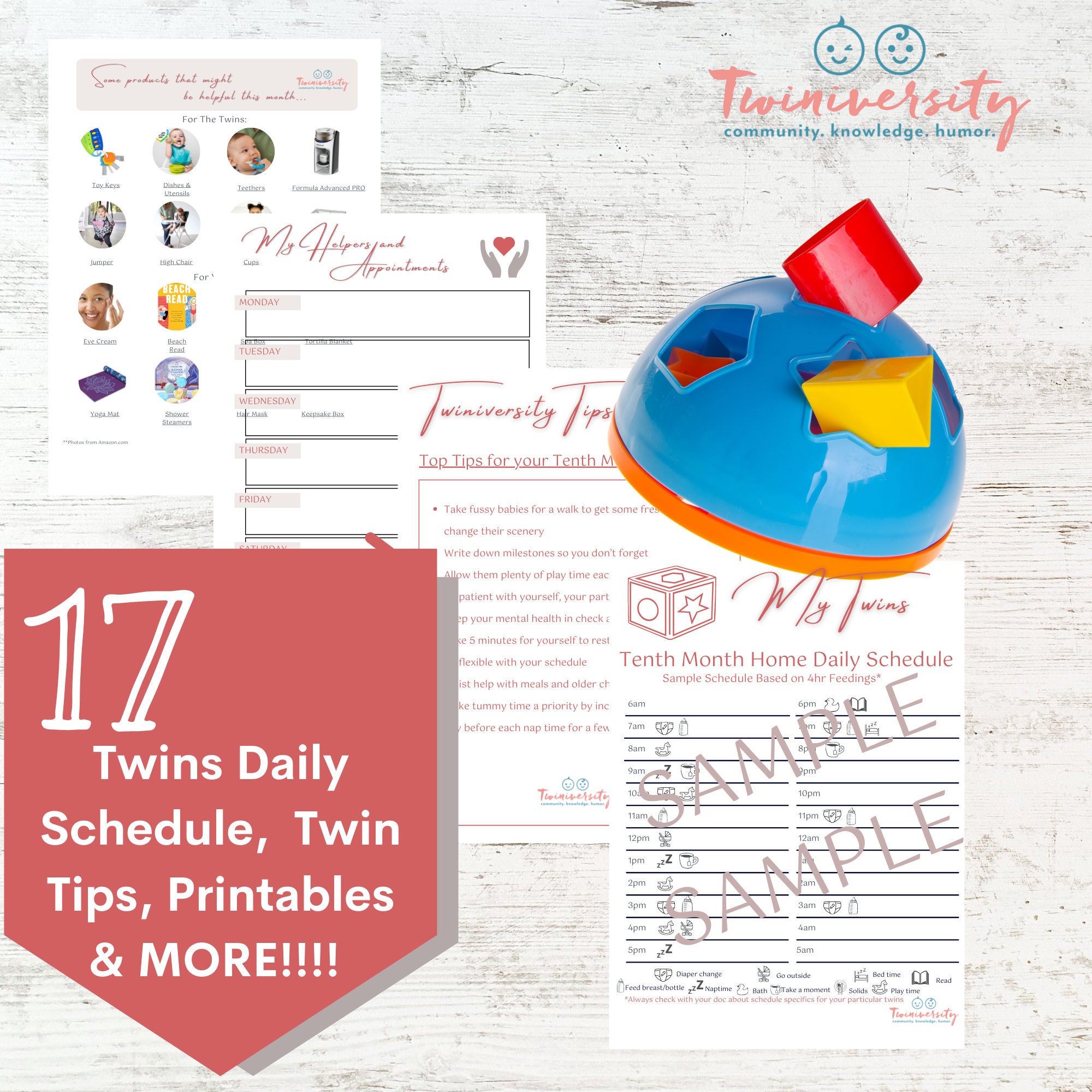 Twins Schedule: Tenth Month Schedule and Planner - Etsy