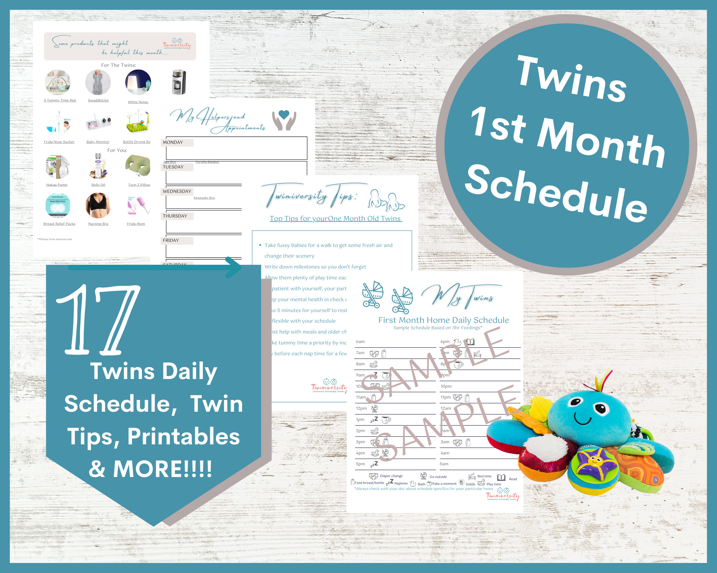 Twins Schedule: the First Year With Twins First Month Schedule - Etsy