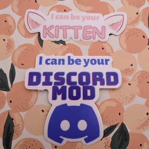 Discord Mod and Kitten Bundle | 3 Inch Stickers - Etsy