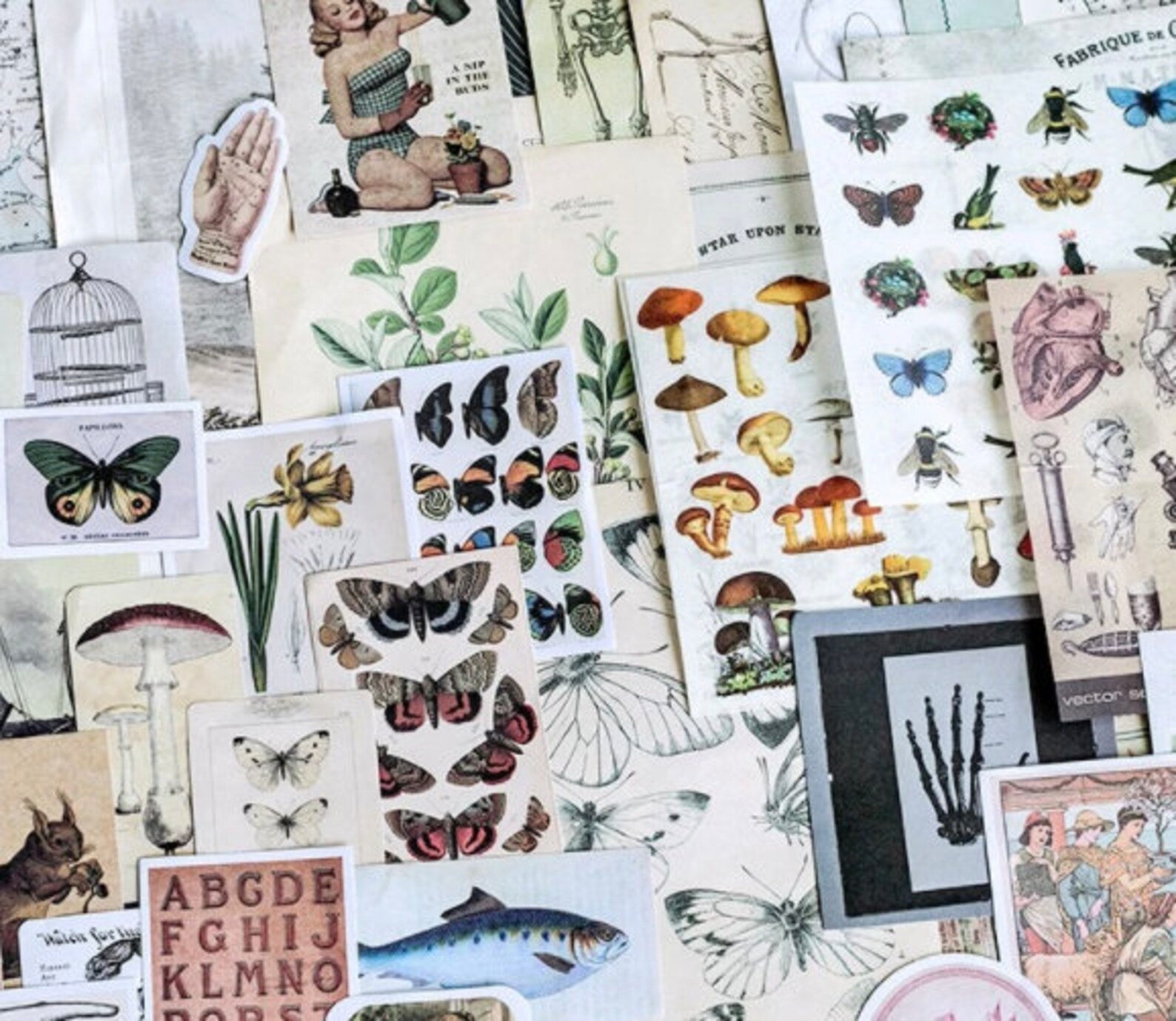 36 Piece Vintage Stickers Set Craft Kit Junk Journal - Etsy