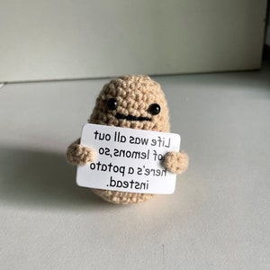 Crochet Positive Poo, Cute Poo Decor, Crochet Emotional Support Poo ...