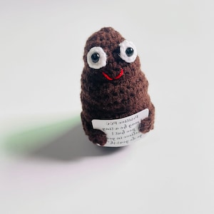 Crochet Positive Poo, Cute Poo Decor, Crochet Emotional Support Poo ...