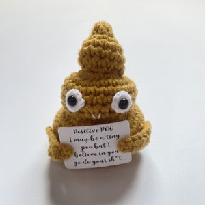 Handmade Crochet Positive Poo, Funny Positive Poo Decor, Crochet ...
