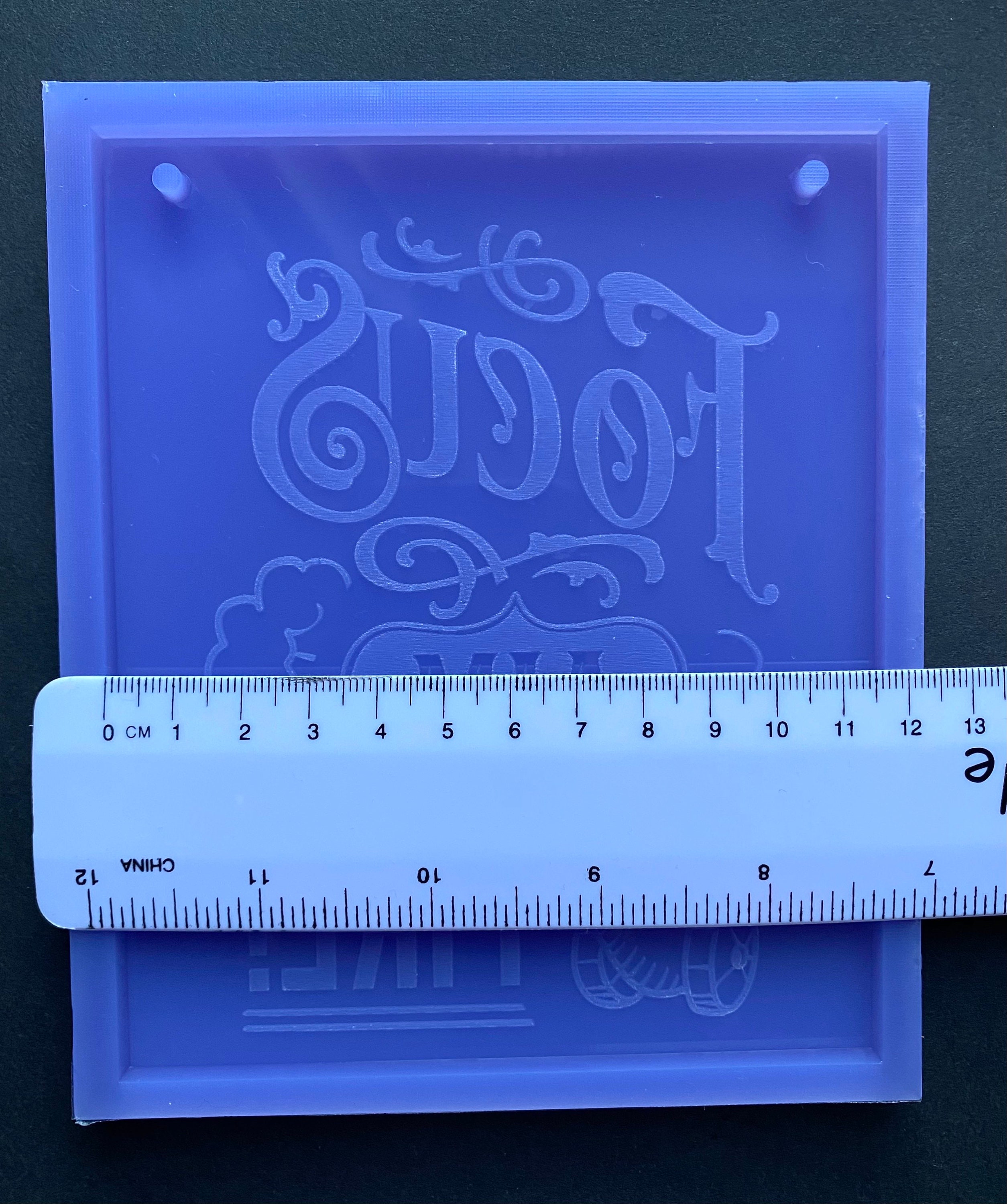 Funny Bathroom Sign Focus Aim Fire. Silicone Mould | Etsy