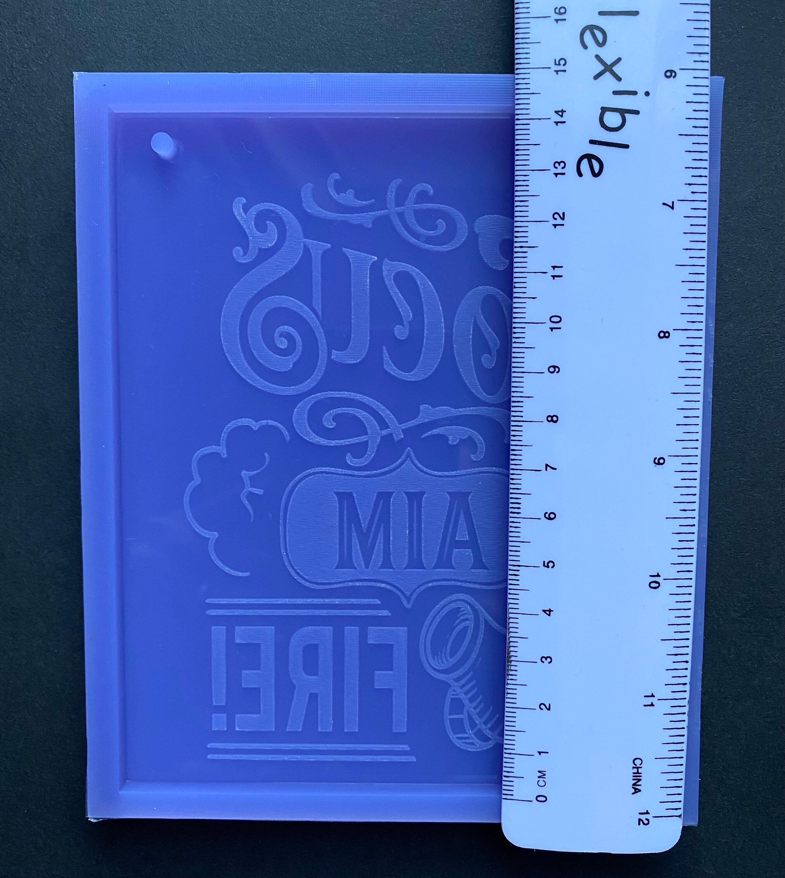 Funny Bathroom Sign Focus Aim Fire. Silicone Mould | Etsy